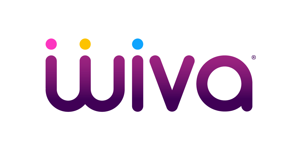 Wiva - Consultora